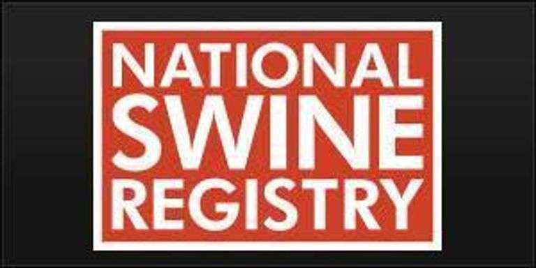 Logo on the NSR/NJSA backdrop for 3 years - The Wendt Group Inc