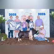 1-9 Crossbred Bred Gilt - The Wendt Group Inc