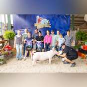 17-10 Yorkshire Bred Gilt - The Wendt Group Inc