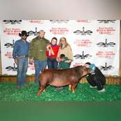 11-8 Duroc Bred Gilt - The Wendt Group Inc
