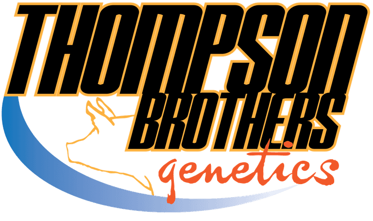 Thompson Brothers Genetics - The Wendt Group Inc.