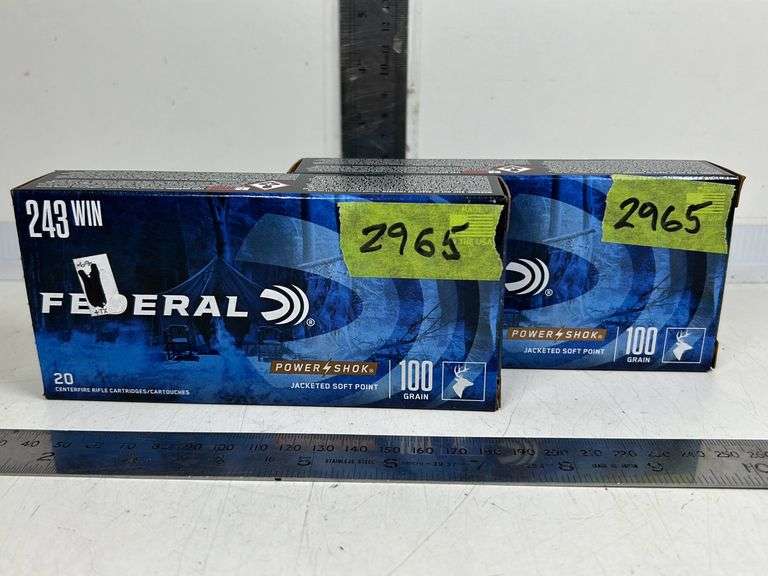 Federal Power Shok 243 Win Jacketed Soft Point Rifle Cartridges ~ 40 Rounds - Wild Rose Auction ...