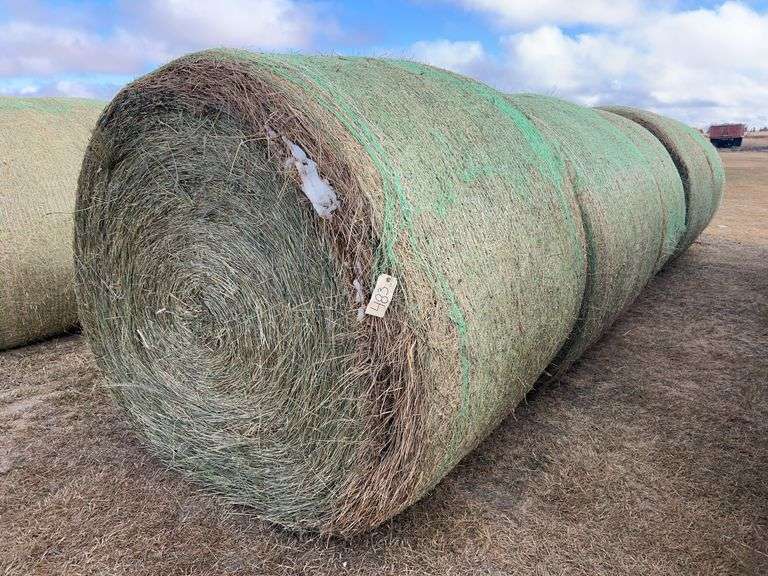 5 Round Hay Bales (mixed grass), 5 x Bid Price, *Unreserved* - Wild ...