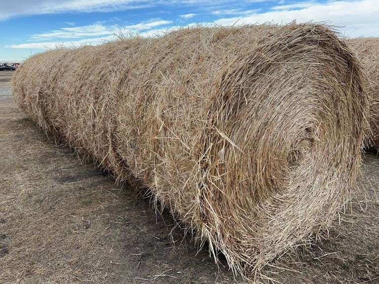 5 - Reed Canary Grass Round Bales (5x Bid Price) *Unreserved* - Wild ...