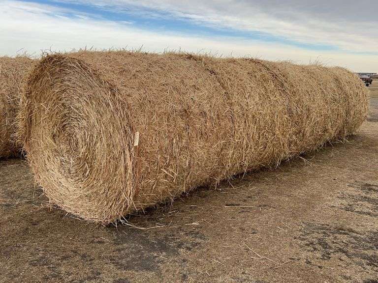 5 - Reed Canary Grass Round Bales (5x Bid Price) *Unreserved* - Wild ...