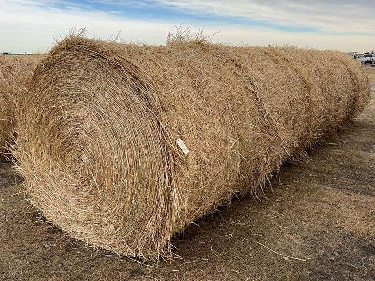 5 - Reed Canary Grass Round Bales (5 x Bid Price) *Unreserved* - Wild ...
