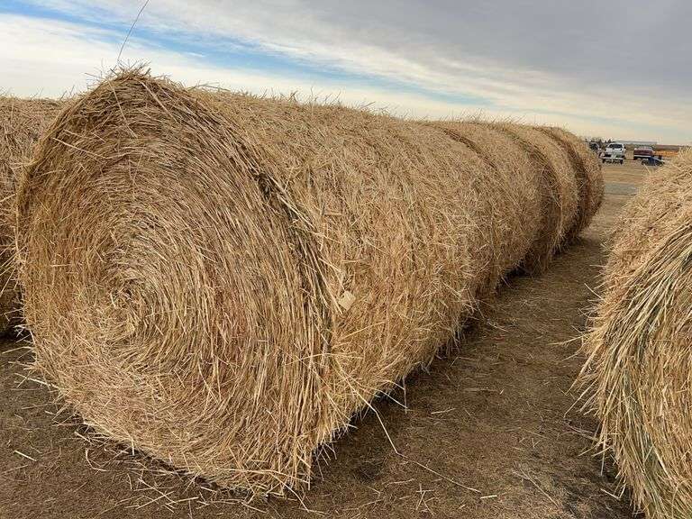 5 - Reed Canary Grass Round Bales (5x Bid Price) *Unreserved* - Wild ...