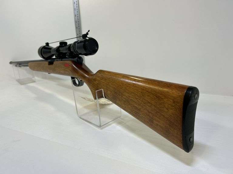 Stevens 87B .22 cal S/L/LR Semi Auto Rifle, w/Bushnell Bighorn Scope ...