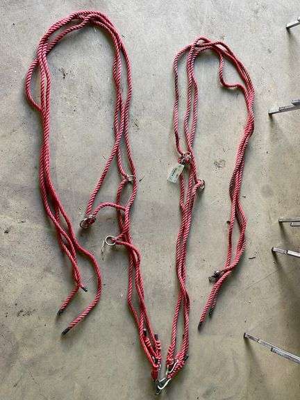 6 - Neck Ropes ( Cattle Show Circuit ) - YAC Auctions