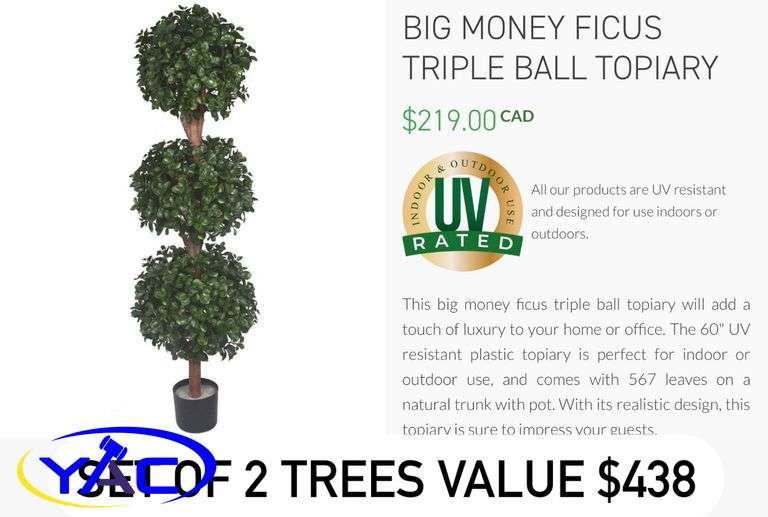 Set of 2 - 5’ Big Money Ficus Triple Ball Topiary Tree - Donated By ...