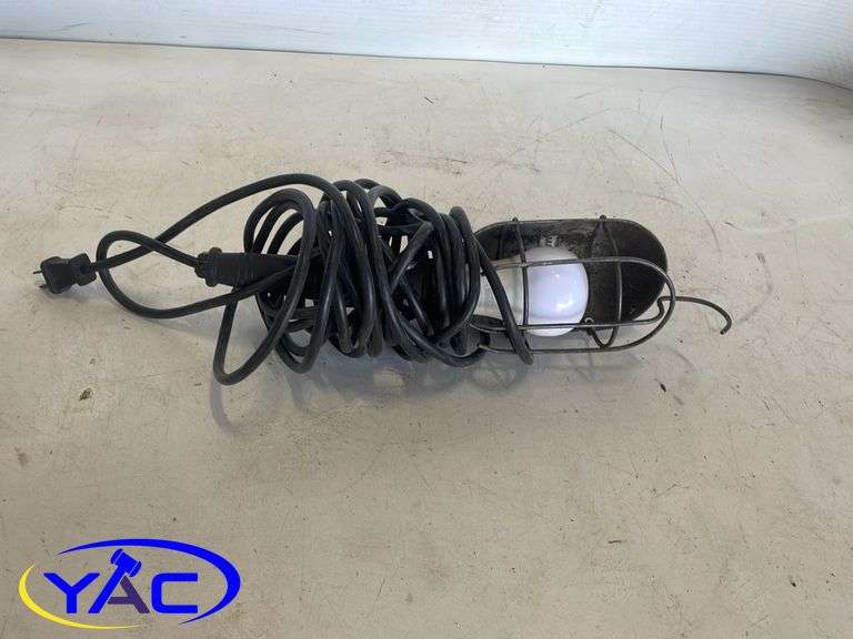 Trouble Light - YAC Auctions