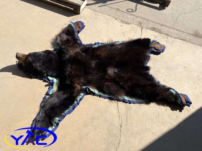 Bear Skin Rug - YAC Auctions
