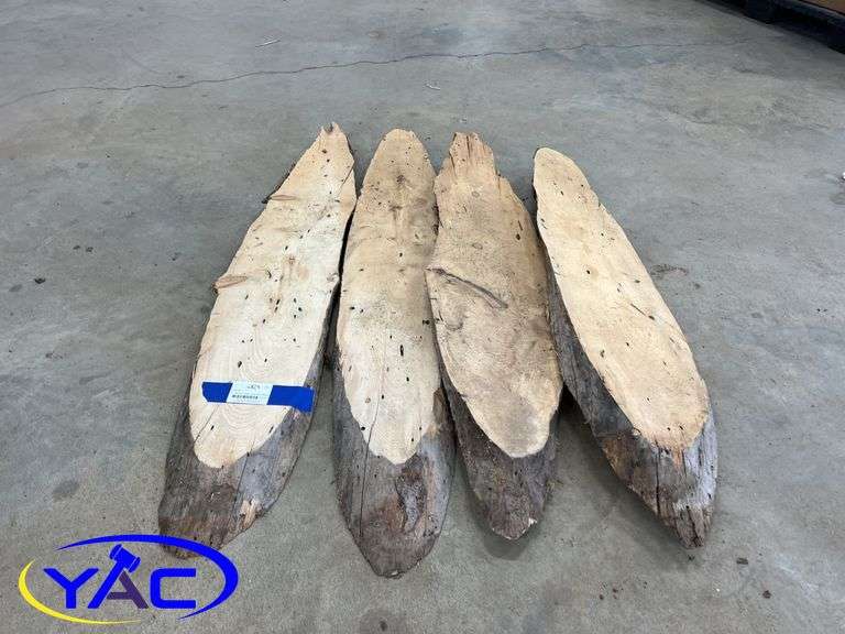 4 - Spruce Large Oval Tree Slices - YAC Auctions
