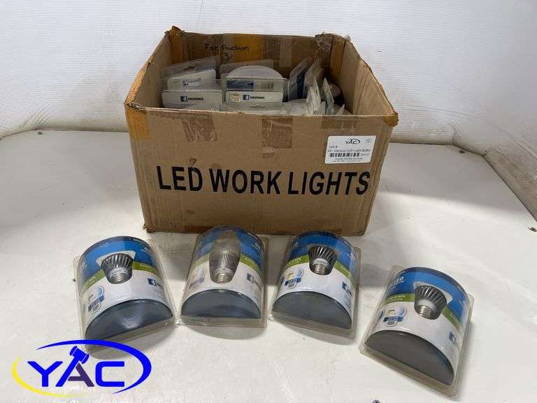 20- Various LED Light Bulbs - YAC Auctions