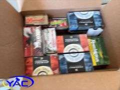 Assorted Brass Cartridges (See Description) - YAC Auctions