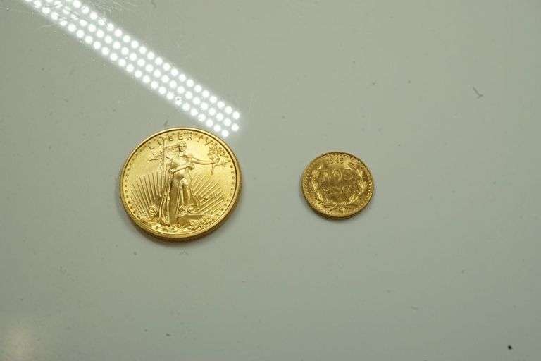 Lot of (2) Gold Coins - Yellow Tag Auctions
