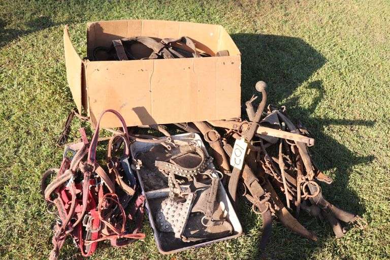 HALTER, HAMES, HARNESS PARTS - Ziemer Hilbrands Auctions