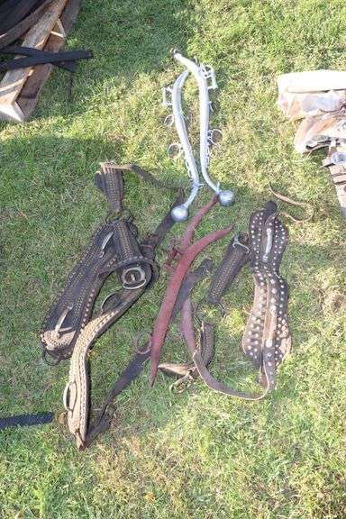 DRAFT HORSE SHOW HAMES AND EQUIPMENT - Ziemer Hilbrands Auctions